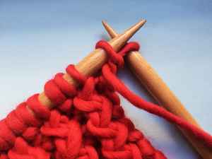 Rick Rack stitch - The Blog - US/UK